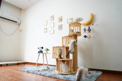 China Dauerhaftes Haus Kitten Cat Climbing Tree Tower Condo mit dem Verkratzen von Posten zu verkaufen