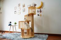 China Durable House Kitten Cat Climbing Tree Tower Condo With Scratching Posts for sale