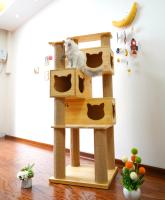 China Safety Deluxe Cat Climbing Tree Tower for sale