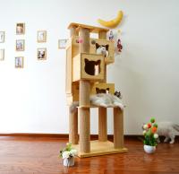 China Safety Deluxe Cat Climbing Tree Tower for sale