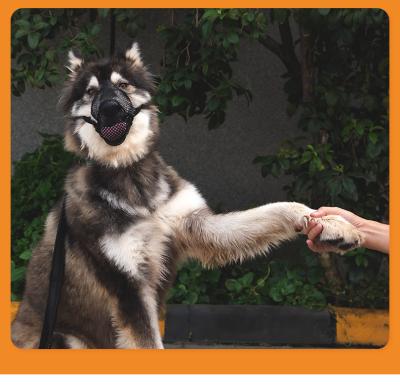Cina Il cane respirabile di alta qualità regolabile anti--misfeeding del bene durevole mette la museruola alla copertura comoda della bocca del cane in vendita
