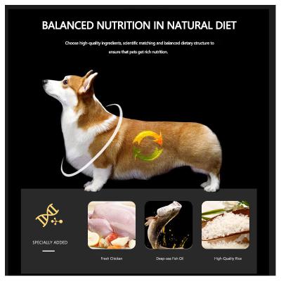 Cina Alimento per animali domestici asciutto Cat Treats Pvc Bag Bulk Cat Food asciutta di colore naturale in vendita