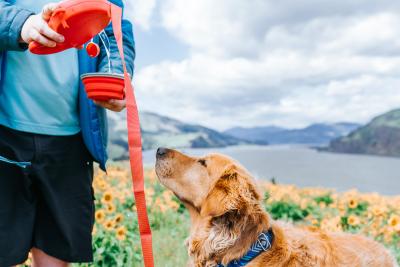 中国 1の鎖によって造られる携帯用犬ボールの水差し5 販売のため