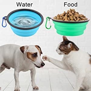 Cina Verde della ciotola del cane all'aperto del TPE e blu pieghevoli per il viaggio e fare un'escursione in vendita