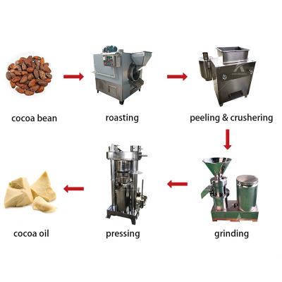 Cina Linea di produzione completamente automatica di Antivari di cioccolato di 200kg H che frantuma lo spuntino di Peeler in vendita