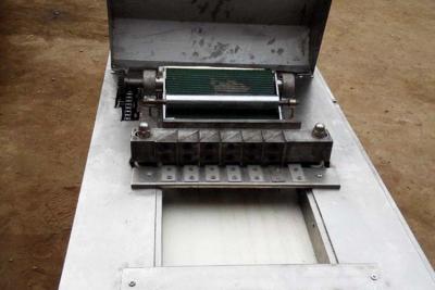 中国 家禽の魚さいの目に切る機械アヒルの立方体肉打抜き機 販売のため