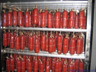 Cina forno dell'affumicatoio della salsiccia della macchina 100kg/H del fumatore della carne di 100kg Bacth in vendita