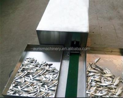 Cina sventramento d'apertura posteriore della macchina di taglio del pesce delle macchine utensili del pesce 1800pcs/H pulito in vendita