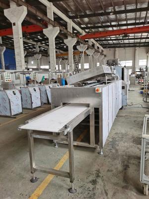 Cina Abbigliatore automatico di Candy del tunnel di raffreddamento della macchina di copertura di cioccolato Sss304 in vendita