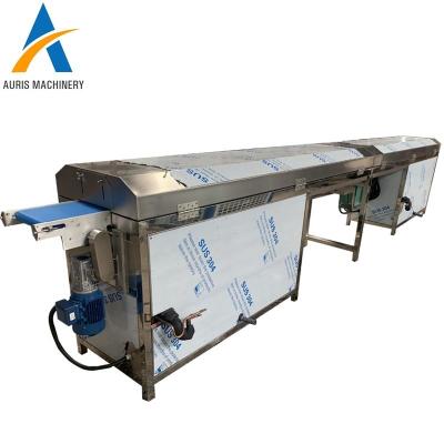 China Het hullen van van het het Koekjessuikergoed van de Chocolade Aanmakende Machine Vormende de Machine Koeltunnel Te koop