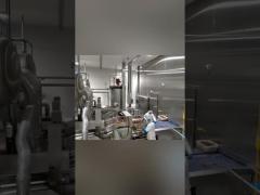 Small Crispy Meat Production Line