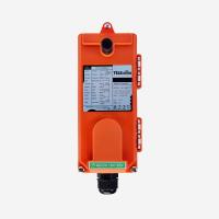China 6 Keys Crane Remote Control Systems F21-E2 Industrial Remote Control System Electric Hoist for sale
