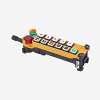 China F24-10D Remote Control Hoist Crane Telecontrol Wireless Crane Control System for sale