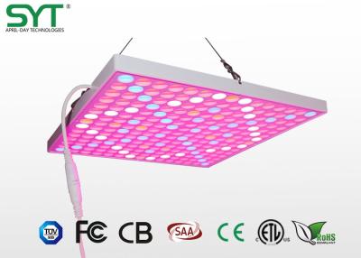 China High Output Horticulture LED Lights Led Growing Lamps For Indoor Plants for sale