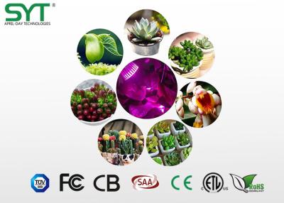 China High Times LED Herb Grow Light , Indoor Spot Lights For Plants 20000 Hours Lifespan for sale