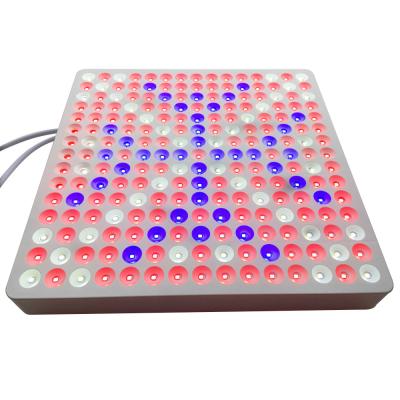 China Super Penetration Horticulture LED Lights With Power Line And Chaining for sale