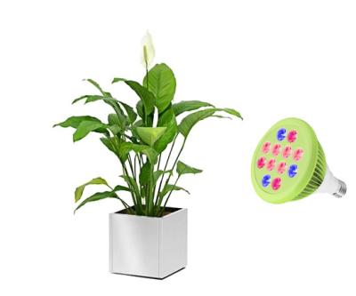 China 24 Watt Power Flowering Grow Light , Indoor Plant Spotlight 9 Red Lights + 3 Blue Lights for sale