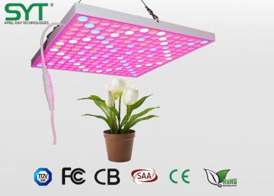 China Flat Integrated 50w Led Growing Light Grow Led Panel For Greenhouse And Home Garden for sale