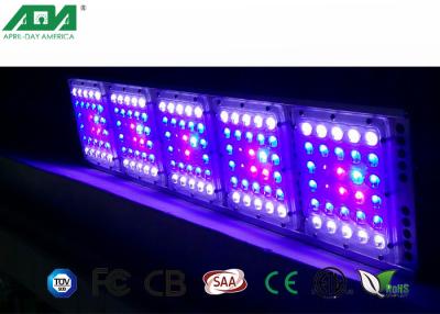 China 140W IP65 Waterproof Module Green House Led Red Blue Grow Light Indoor for sale