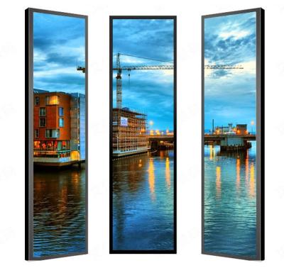 Cina Esposizione LCD LCD dell'esposizione 300cd/m2 1920x360 Antivari di LVDS 50W Antivari in vendita