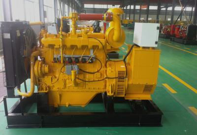 Cina generatore di sostegno del gas 220v in vendita