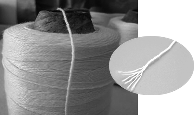 Le bord blanc pur de serrure a consacré le fil 100% de fermeture de sac de polyester
