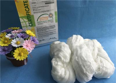 Cina Filato amichevole eco- crudo 100% di Hank della fibra di graffetta di poliestere di bianco TFO ISO9001 2008 in vendita