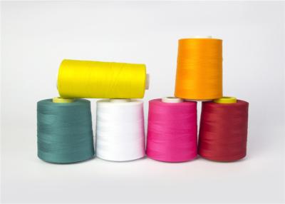 Cina Filato 100% di tintura del poliestere del cono filato 40/2 di 40/3 personalizza i colori in vendita
