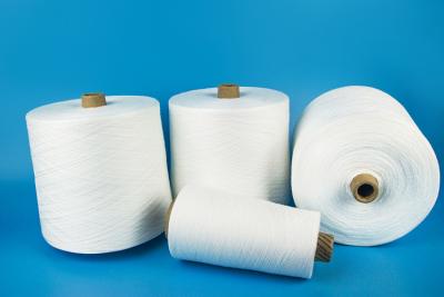 Cina Filato crudo della metropolitana della tintura del filato del cono di Libro Bianco con 20/2 40/2 50/2 60/3 di Ring Spun Yarn in vendita