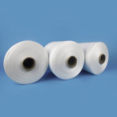 Cina 40/2 di cono 100% della carta di Ring Spun Polyester Yarn In di produzione in vendita