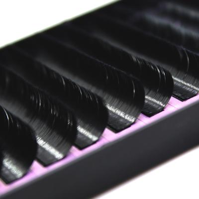 China Factory supply private label Flat Eyelash Extension Mixed Length Eyelashes 0.15mm for sale