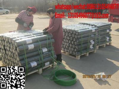 China anti-uv Weed Control Fabric PP weed barrier landscaping mat for sale