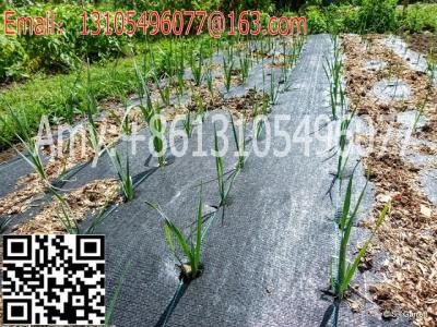 China plastic weed mat ground cover for garden 100gsm/silt fence woven fabric for sale