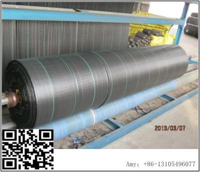 China black and blue color weed control fabric/weed barrier /silt fence fabric for sale