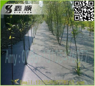 China 2016 High Quality black pp woven ground cover landscaping mats for sale