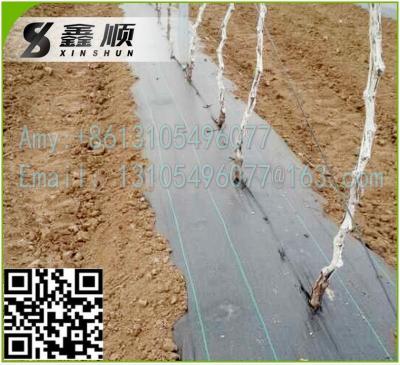 China 2016 high quality weed barrier/weed mat polypropylene woven geotextile for sale