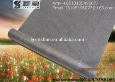 China Best plastic ground cover for agricultural mulch film /needle gardening cloth for sale