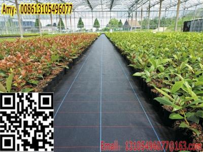 China weed barrier sheet PP ground cover pp woven geotextile/needle punched gardening cloth for sale