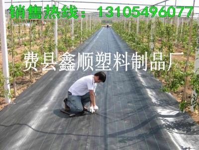China 2016 high quality weed barrier/weed mat polypropylene woven geotextile for sale
