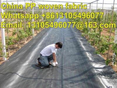 China weed stop  weed mat  ground control and PP GROUND COVER width 1m-5.25m 90gsm for sale