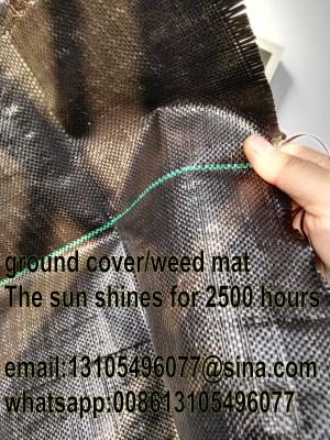 China woven geotextile/black plastic agricultural pp weed control mat/export America for sale