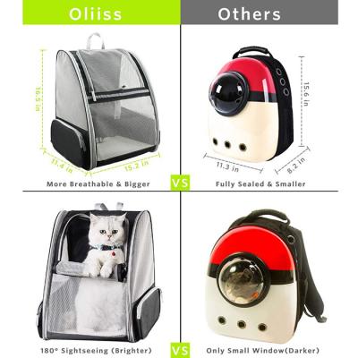 China Cat Dog Pet Carrier Backpack pequena ventilou correias da segurança curva dobrável à venda