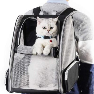 China Cat Dog Pet Carrier Backpack pequena ventilou correias da segurança curva dobrável à venda
