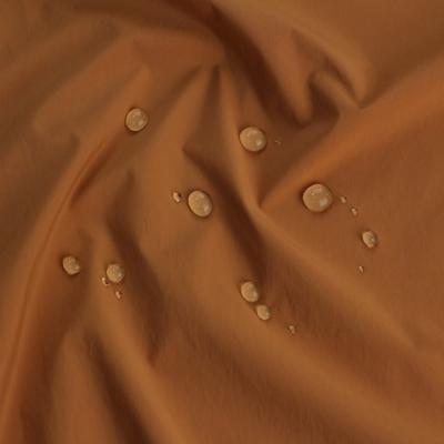 Cina Tessuto di nylon supermorbido e resistente all'abbassamento YFF23818-20 in vendita