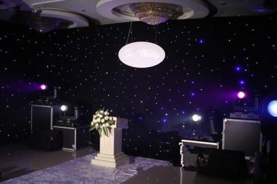 China Red / Blue / Green / White Flexible Star Sky LED Curtain Light 5050 SMD for sale