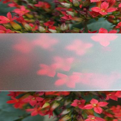 China Custom witte melk winkel Sun polycarbonaat bevroren plaat, PC geïmprimeerde platen Te koop