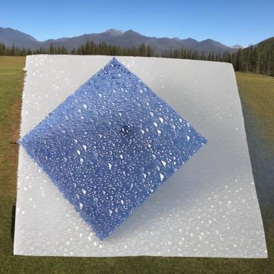 Cina Diamante Superficie Policarbonato Veranda tetto 2.5mm-10mm 1220mm/2100mm Protezione UV in vendita
