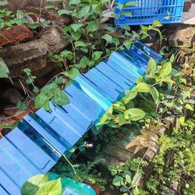 China Blue Plastic Polycarbonate corrugated Sheet Impact-Resistant and Lightweight for Enhanced Functionality and Design for sale