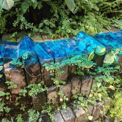 China Blue Plastic Polycarbonate corrugated Sheet Impact-Resistant and Lightweight for Enhanced Functionality and Design for sale