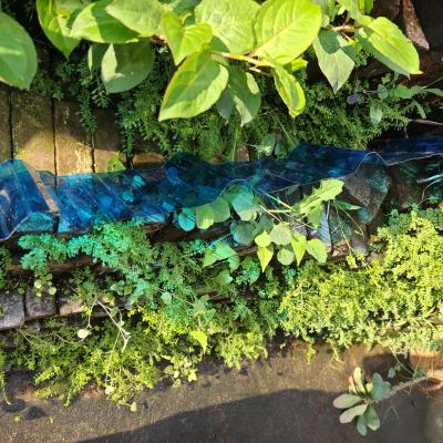 China Blue Plastic Polycarbonate corrugated Sheet Impact-Resistant and Lightweight for Enhanced Functionality and Design for sale